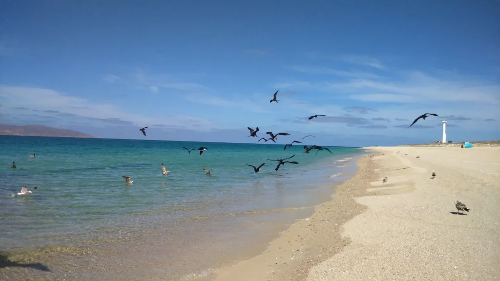 Playa Punta Arena: A Hidden Treasure on the Sea of Cortez – Relo To Baja